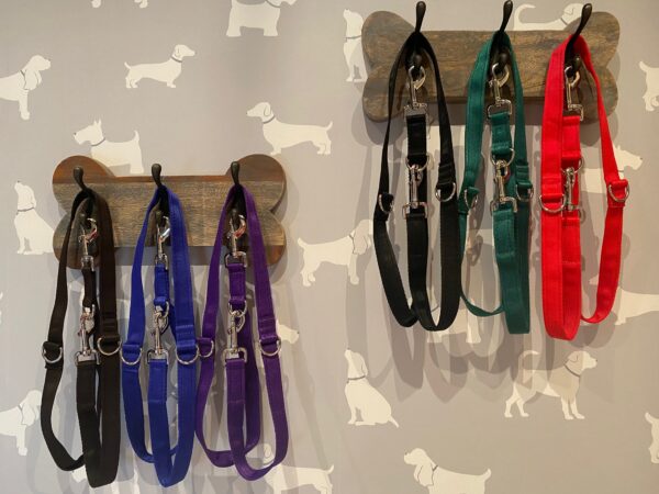 Walkezee Control Lead Double Ended 25 mm wide - Walkezee - Dog Training ...